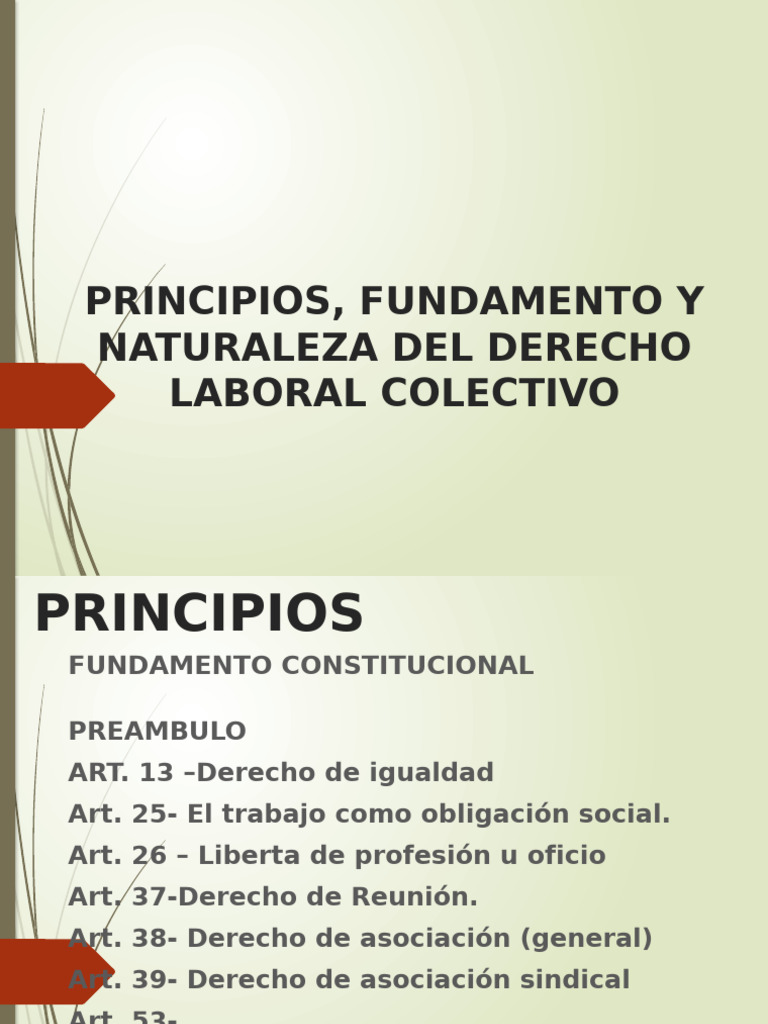 PRINCIPIOS, FUNDAMENTO Y NATURALEZA DEL DERECHO LABORAL | PDF | Sindicato | Derecho laboral