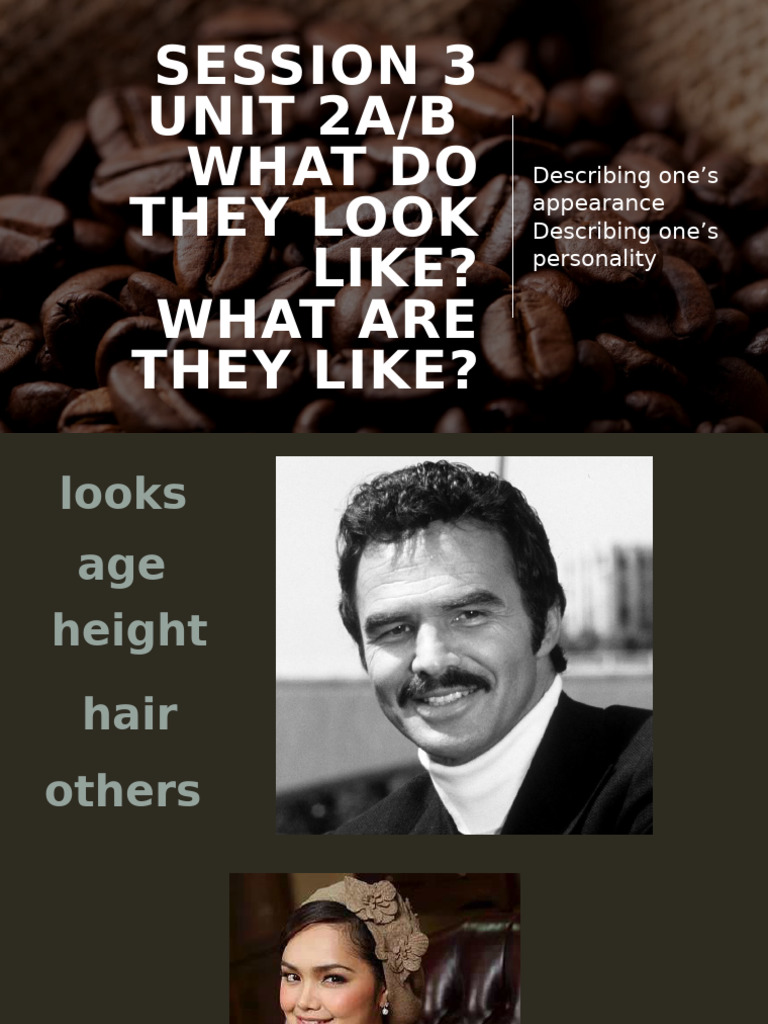 Session 3 Unit 2ab What Do They Look Like | PDF