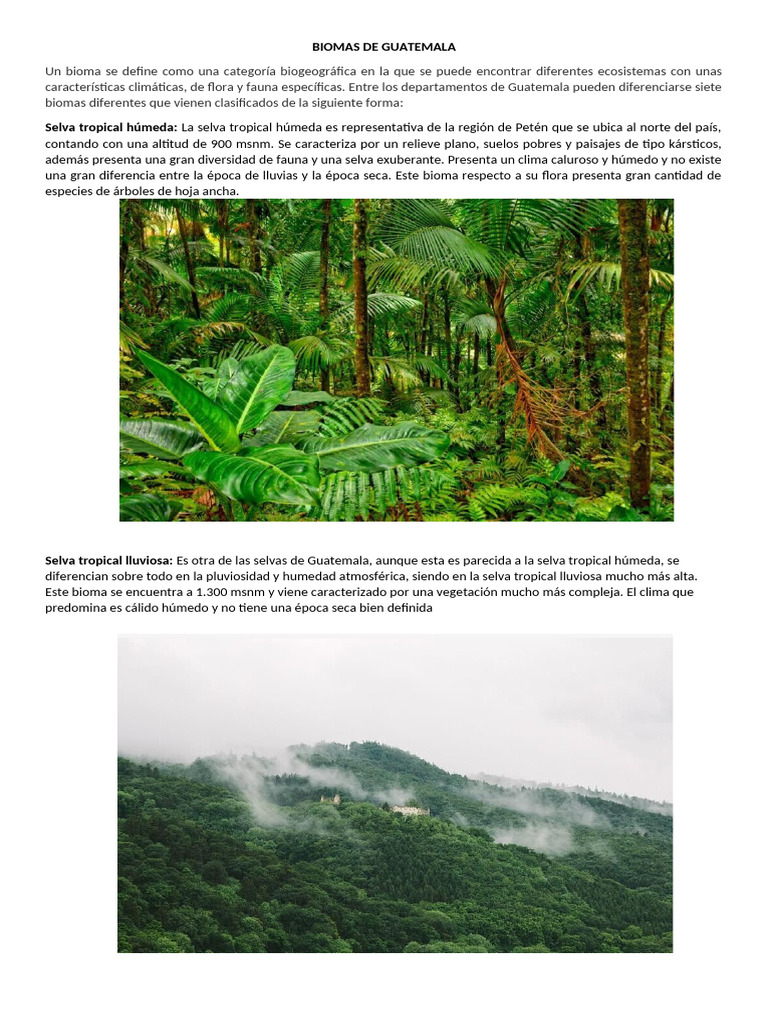 Biomas de Guatemala: Descripción y Ubicación | PDF | Selva | Zona tropical