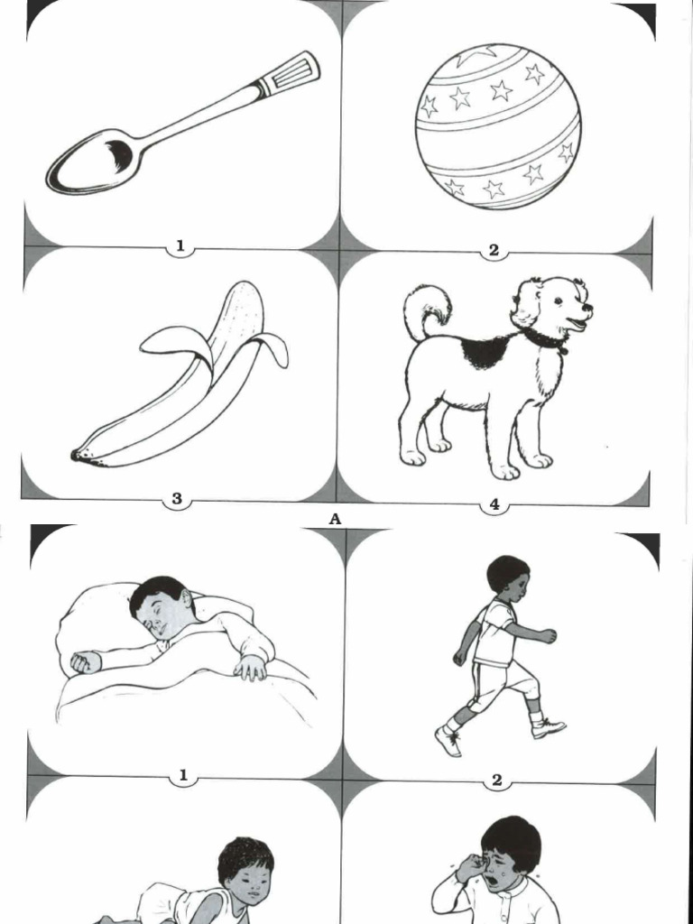 Peabody - PPVT | PDF