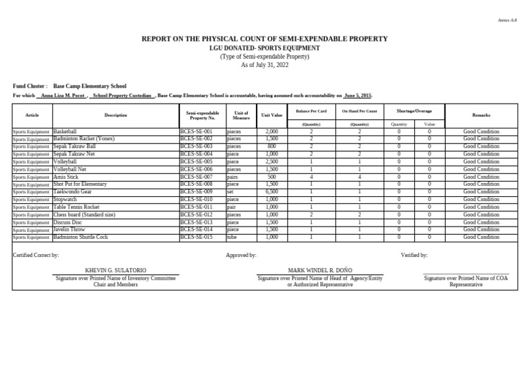 RPCSP Annex A.8 LGU Sport Eqpmnt | PDF | Sports Equipment | Ball Games