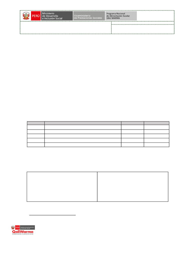 Formato Actualizacion Cae 2025 | PDF