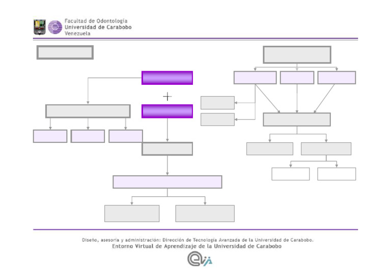 Tipos de Uniones Atómicas y Estados de Materia | PDF