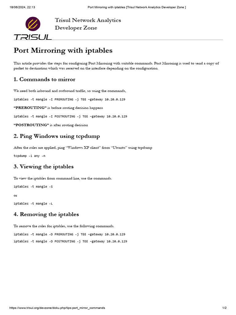 Port Mirroring Setup with iptables | PDF