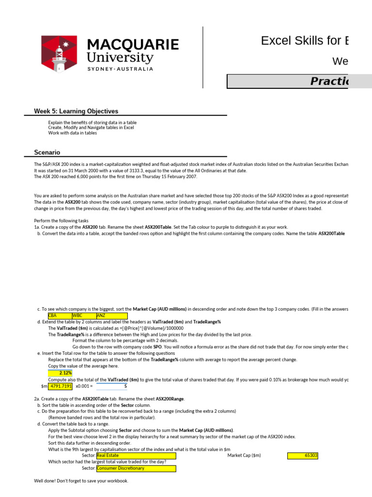 Week 5 Practise Challenge SOLUTION | PDF | Microsoft Excel | Companies
