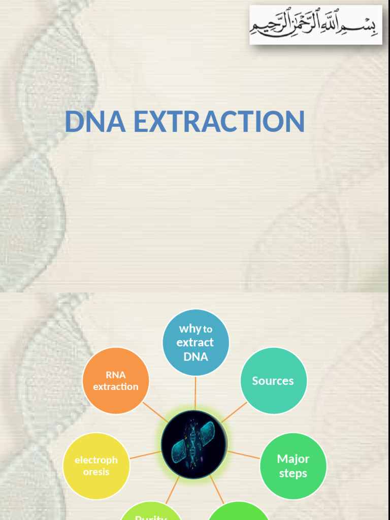 DNa Extra | PDF