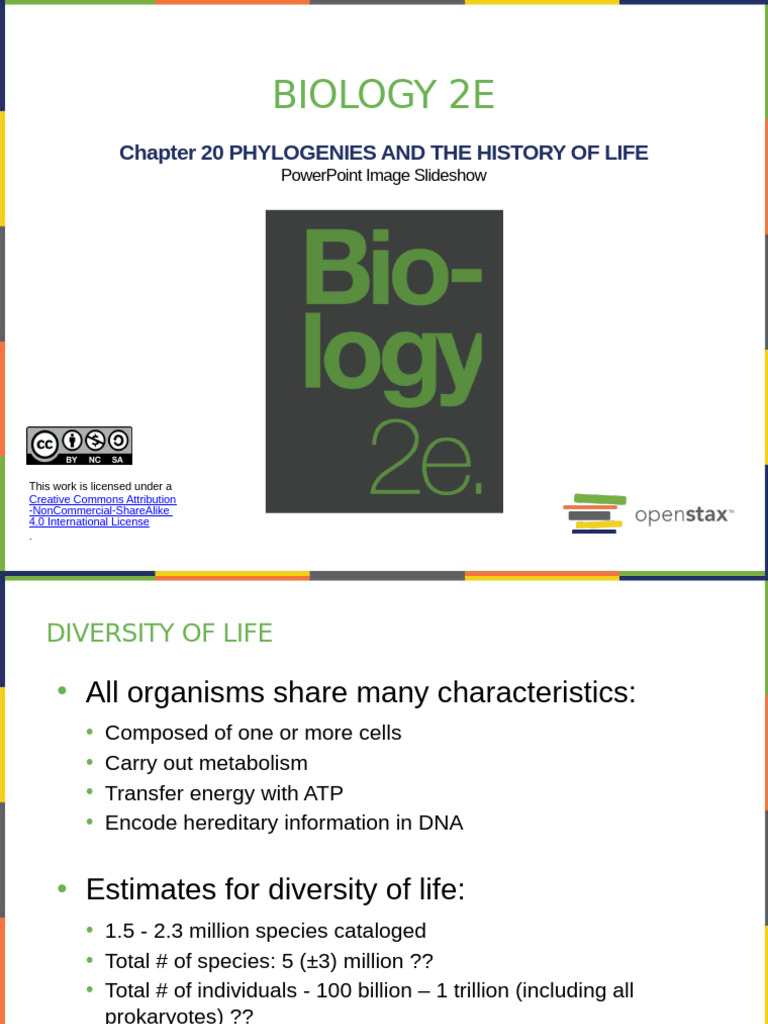 Phylogenies and The History of Life | PDF | Phylogenetic Tree | Prokaryote