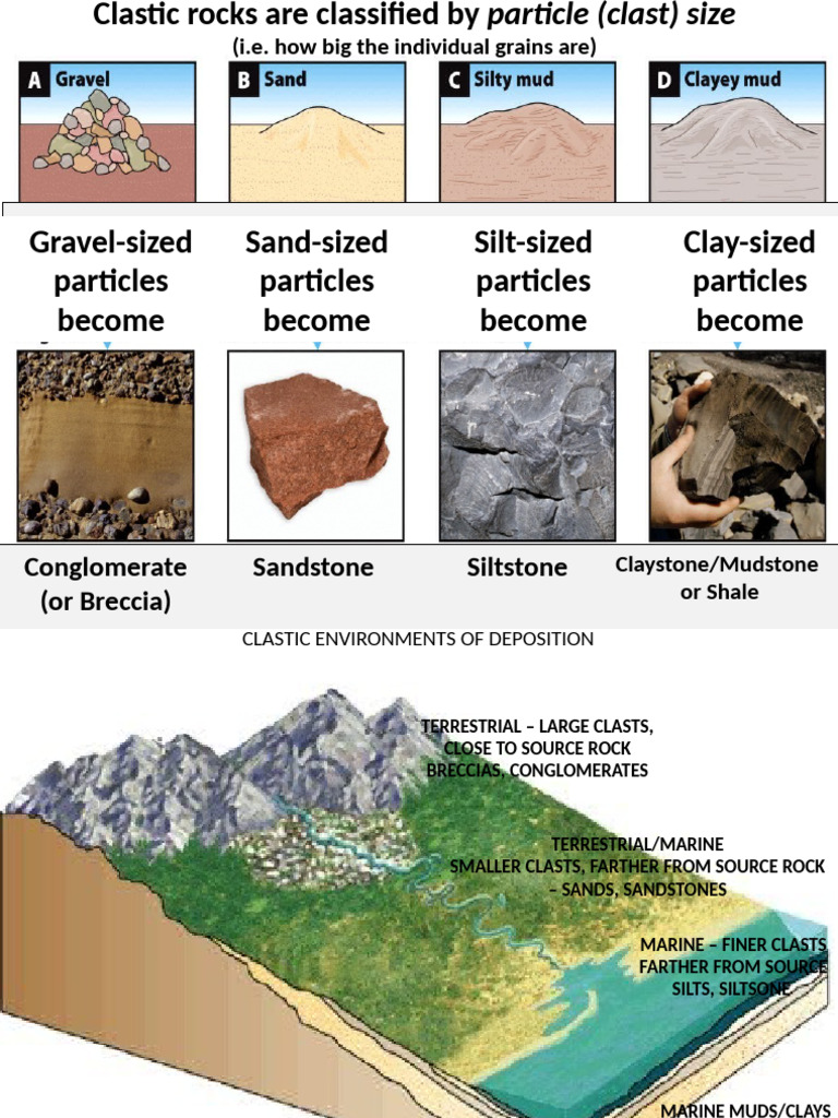 Sedimentary Rocks Part 2 Review Clastics, Marine Transgressive v ...