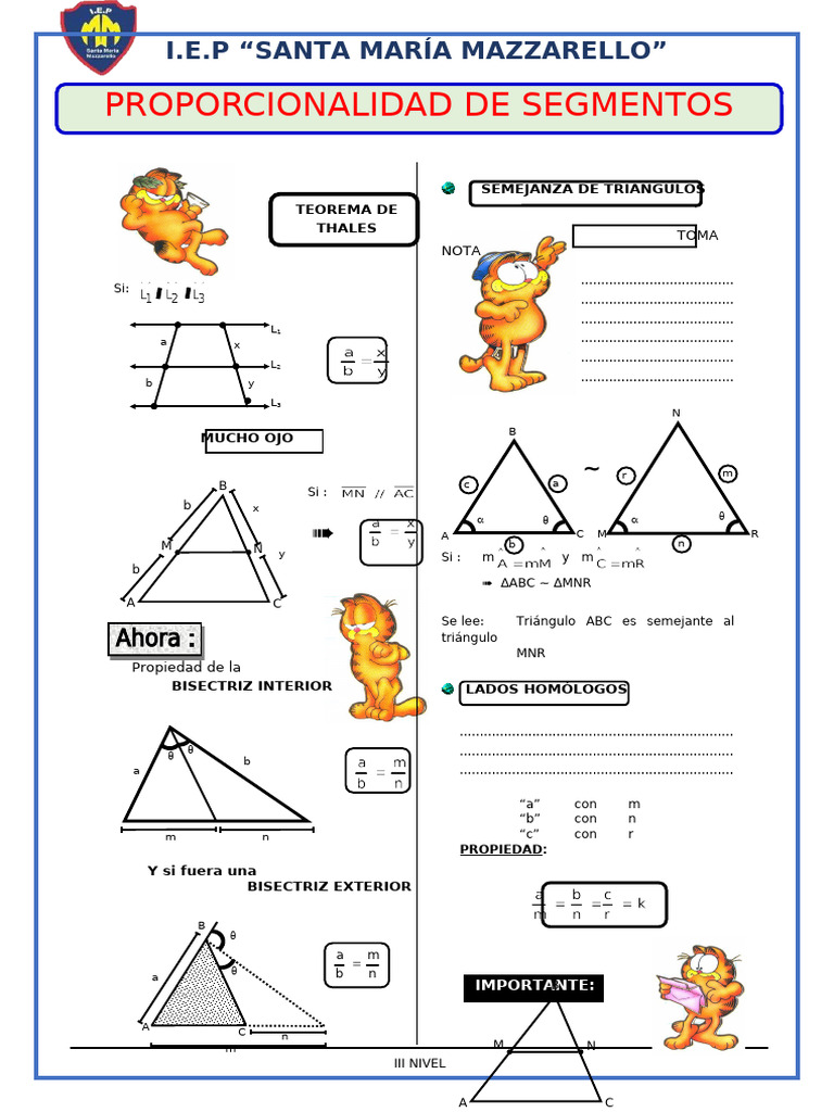 Proporcionalidad de Segmentos para Quinto de Secundaria | PDF | Triángulo | Geometría Elemental