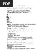 Anatomia da Laringe: Estruturas e Funções | PDF | Laringe | Anatomia humana