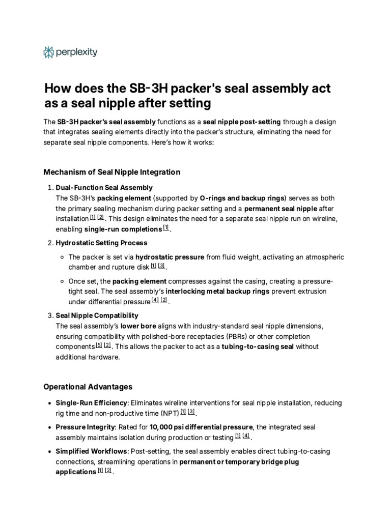 SB-3H Packer Seal Assembly Overview | PDF | Pressure | Manufactured Goods
