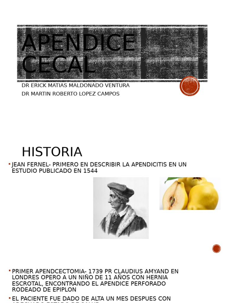 Apendice Anatomia Erick y Martin | PDF