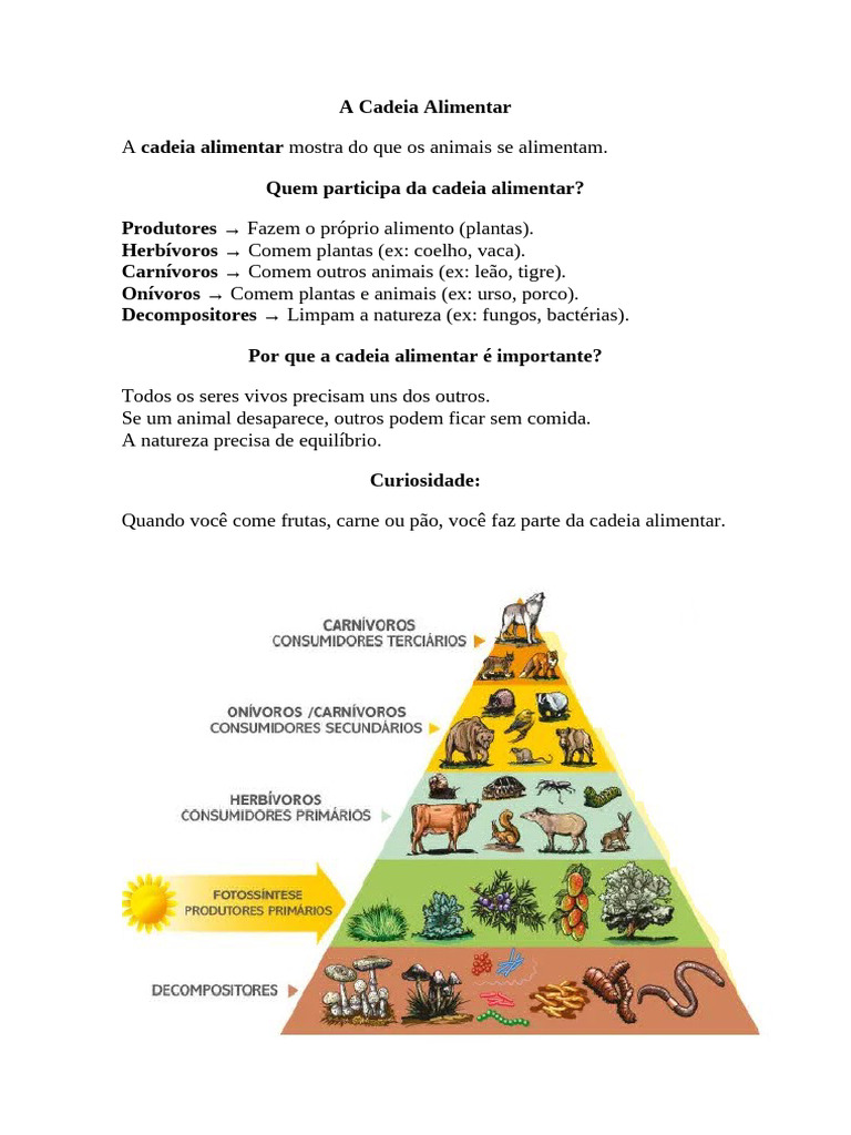 Entenda a Cadeia Alimentar e Seus Componentes | PDF