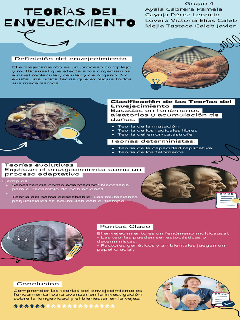 Teorías Del Envejecimiento 20250225 103731 0000 | PDF