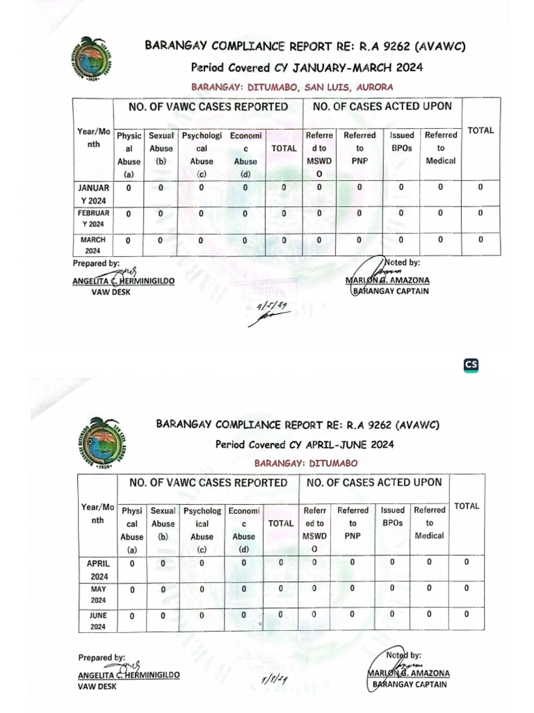 Vawc Report 2024 | PDF