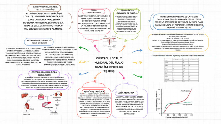 Mapa Mental C. Humoral | PDF | Sangre | Metabolismo