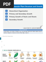 Plants Specialized Structures | PDF