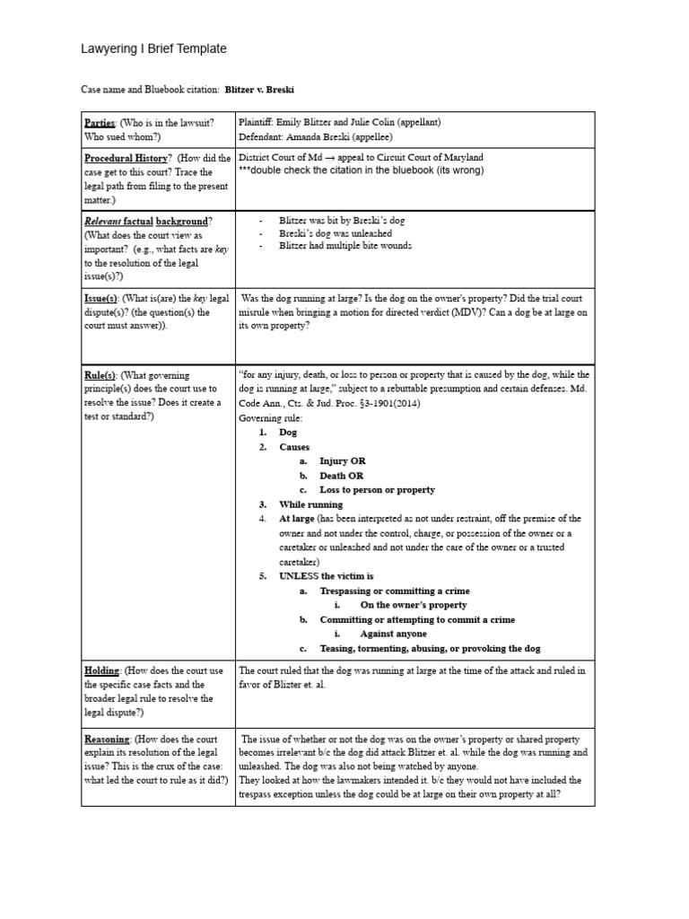 Blitzer v. Breski Brief | PDF | Lawsuit | Common Law