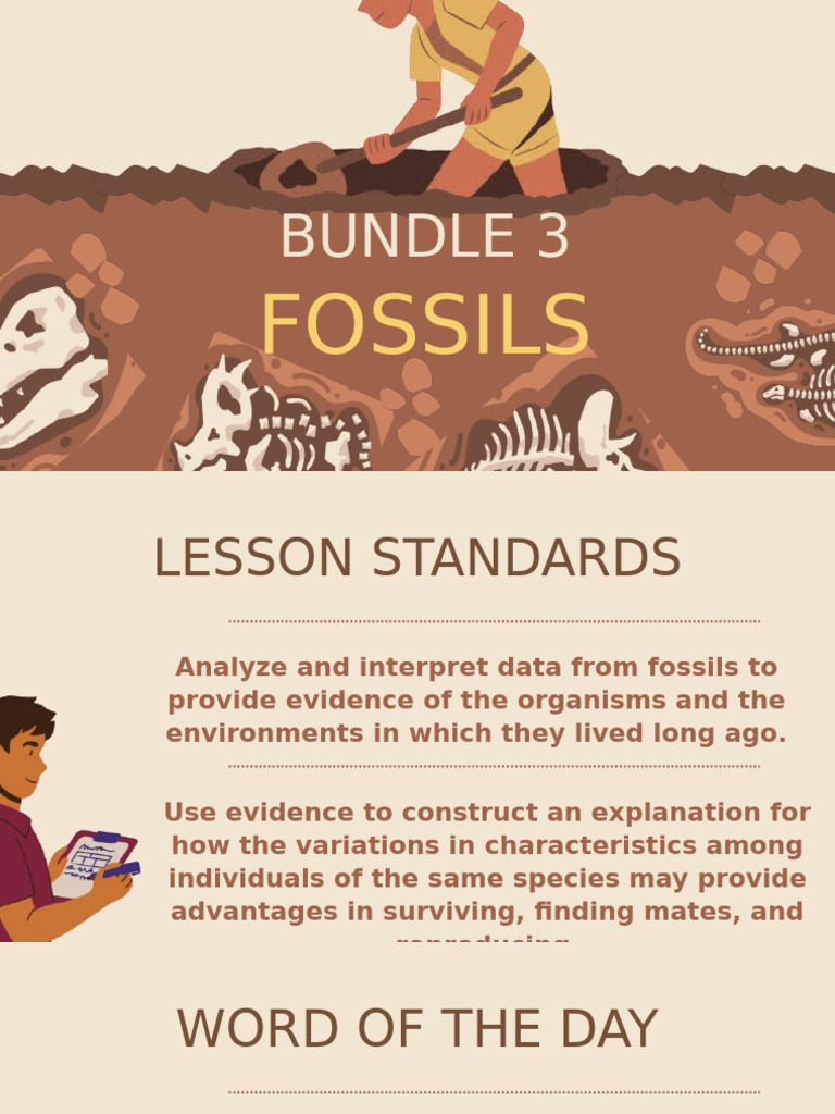 3rd Grade (Bundle 3) FOSSILS | PDF | Fossil | Earth Sciences