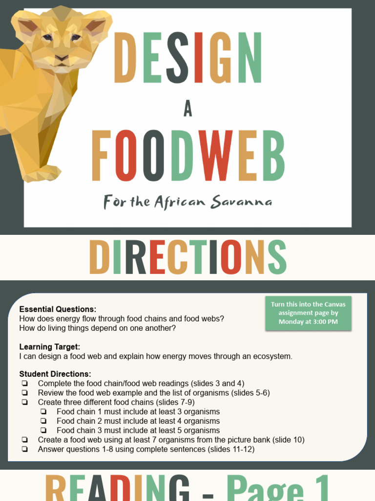 African Savanna Food Web Design Guide | PDF | Foods | Food Web