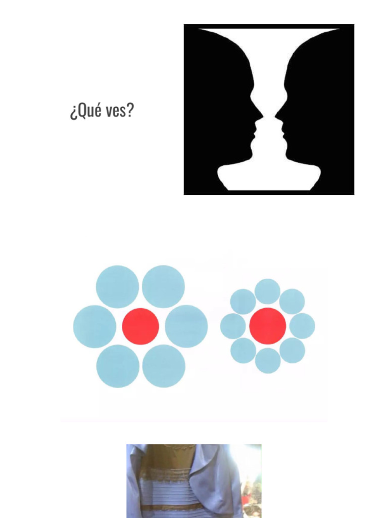 CLASE, 6 - Los Sentidos y La Percepción (Completo) | PDF | Percepción | Sentidos