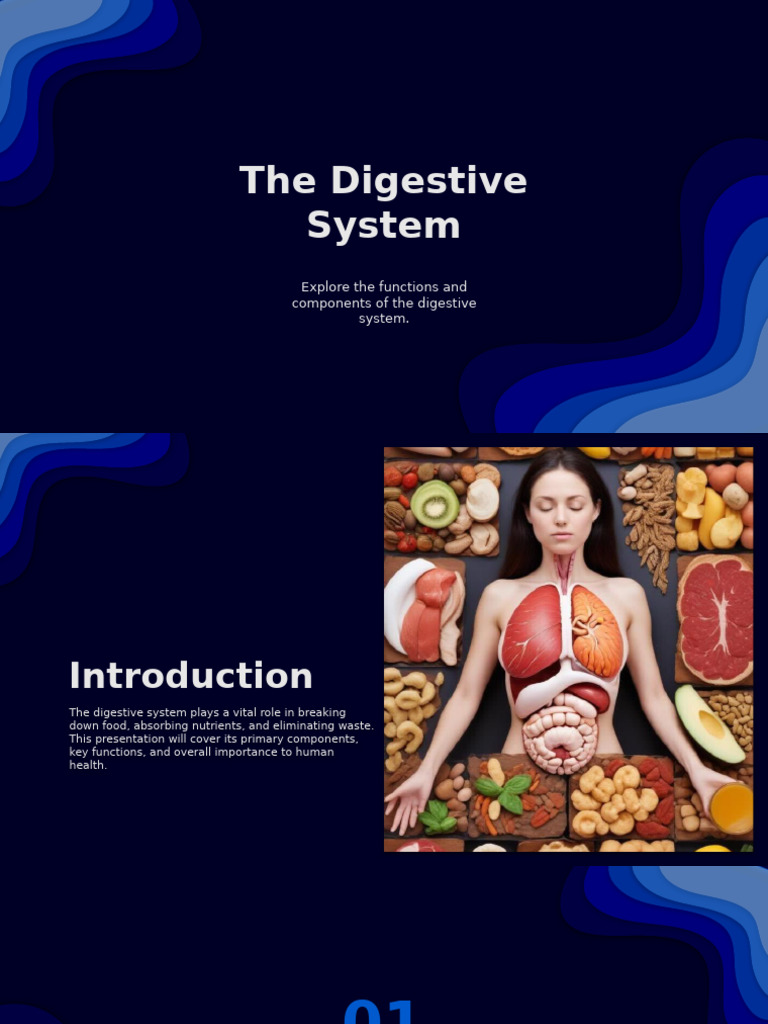 The Digestive System | PDF | Digestion | Human Digestive System
