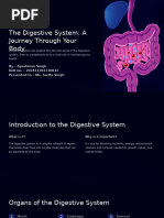 Grade 11 DIGESTIVE SYSTEM LECTURE NOTES | PDF | Human Digestive System ...