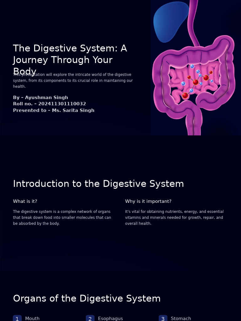 On Systems of Human Body | PDF | Digestion | Gastrointestinal Tract