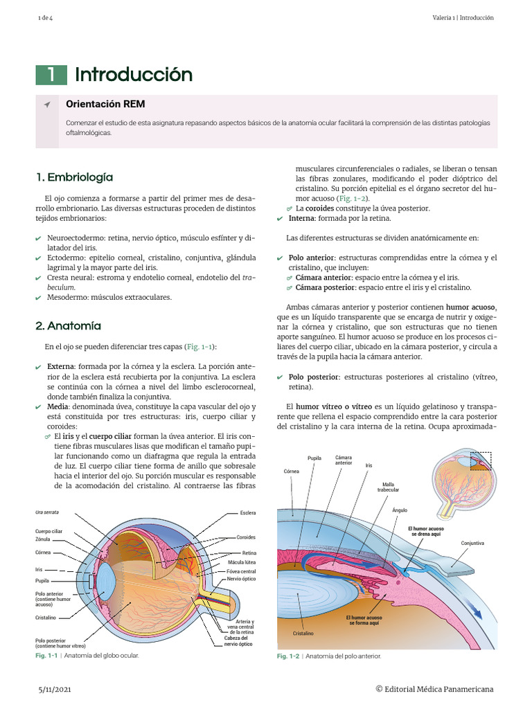 1 Intro Oftalmo | PDF | Ojo humano | Córnea