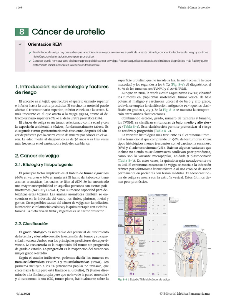 8 Ca Urotelio | PDF | Cáncer | Neoplasias