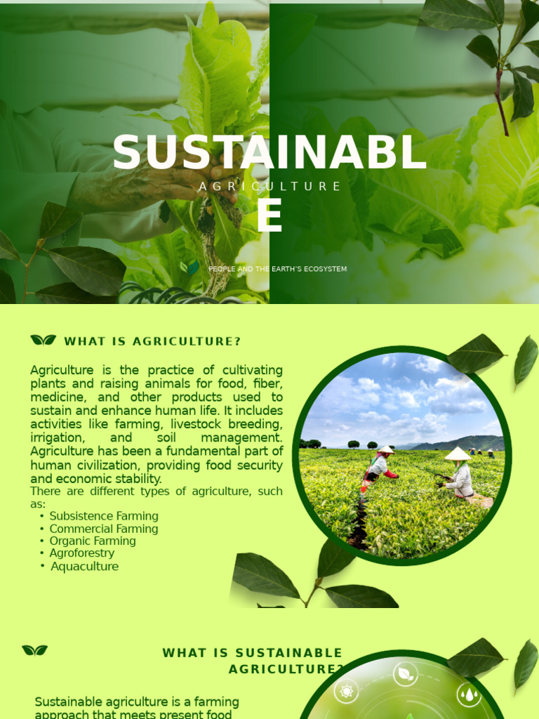Sustainable Agriculture Practices Explained | PDF | Agriculture ...