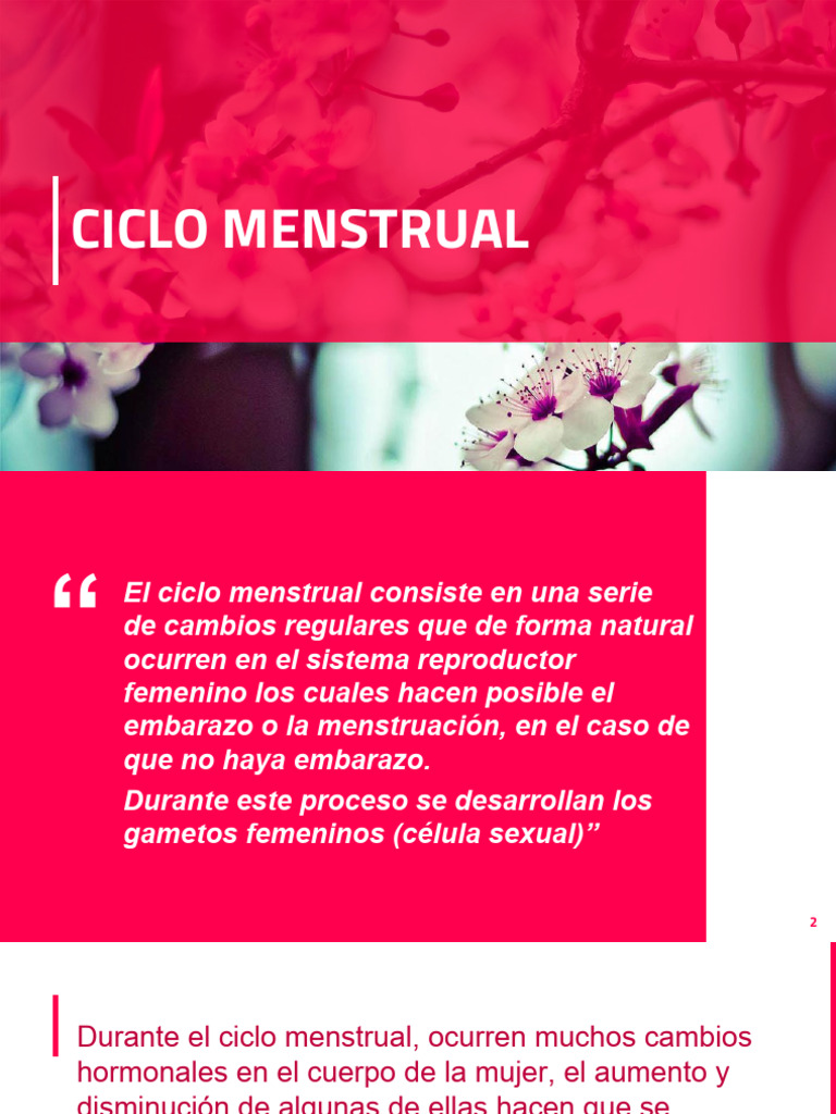 Ciclo Menstrual | PDF | Ciclo menstrual | Fertilidad
