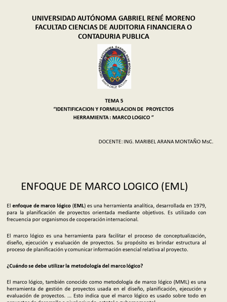 5y6 | PDF | Mercado (economía) | Investigación de mercado