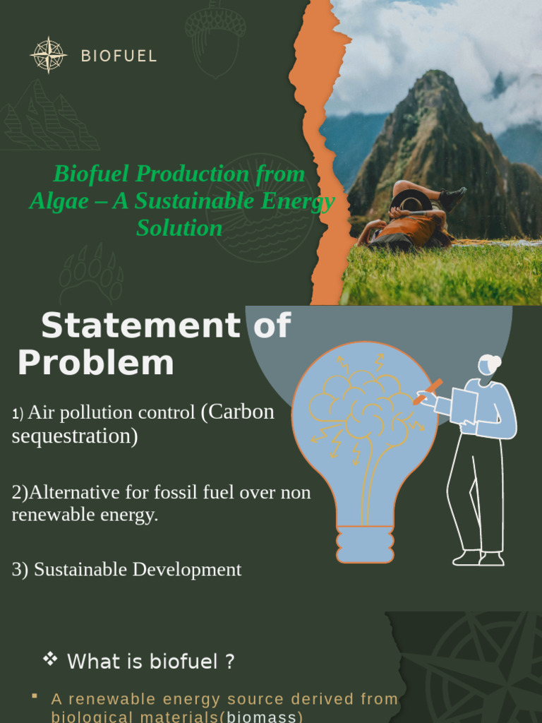 Algae Biofuel Production Process Guide | PDF | Biodiesel | Algae Fuel