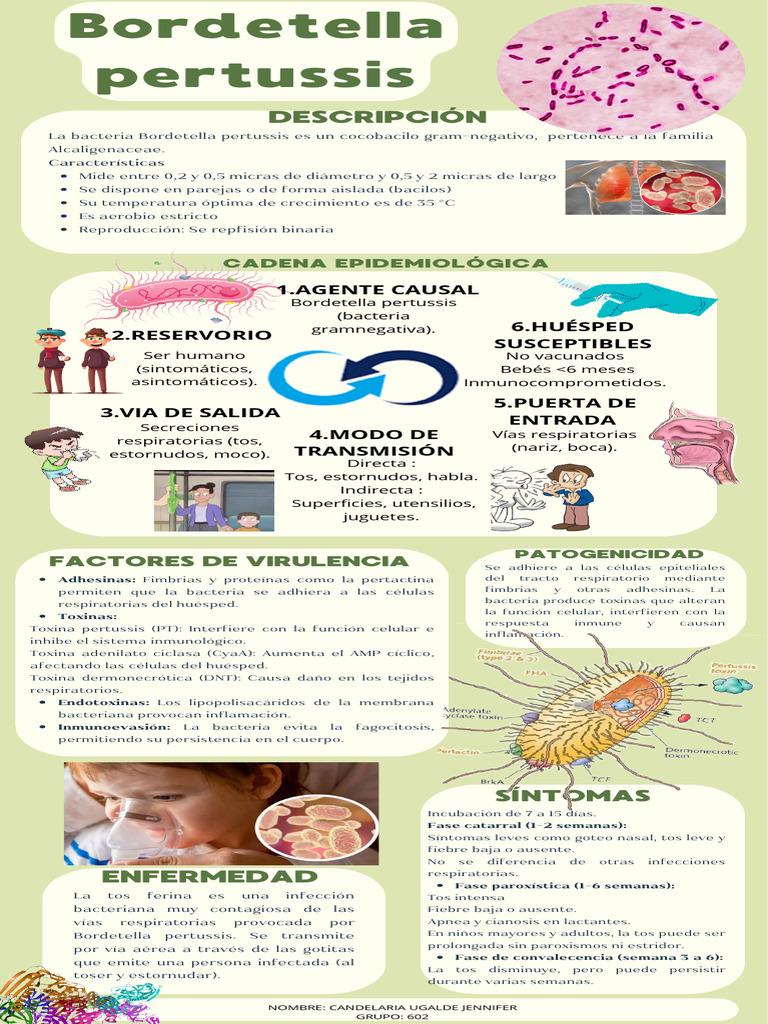 Bordetella Pertussis Correcciòn | PDF | Vacunación | Pediatría