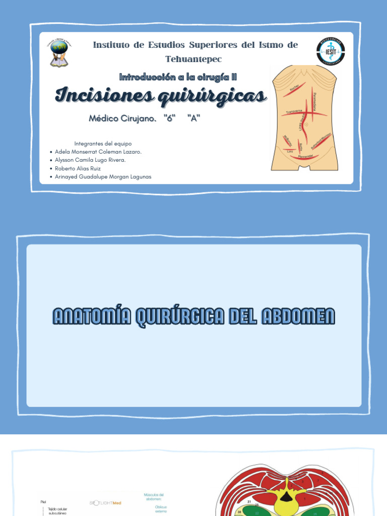 Incisiones Quirúrgicas | PDF | Abdomen | Anatomía