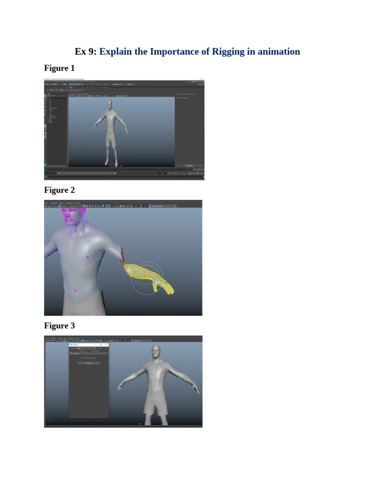 Importance of Rigging in Animation | PDF