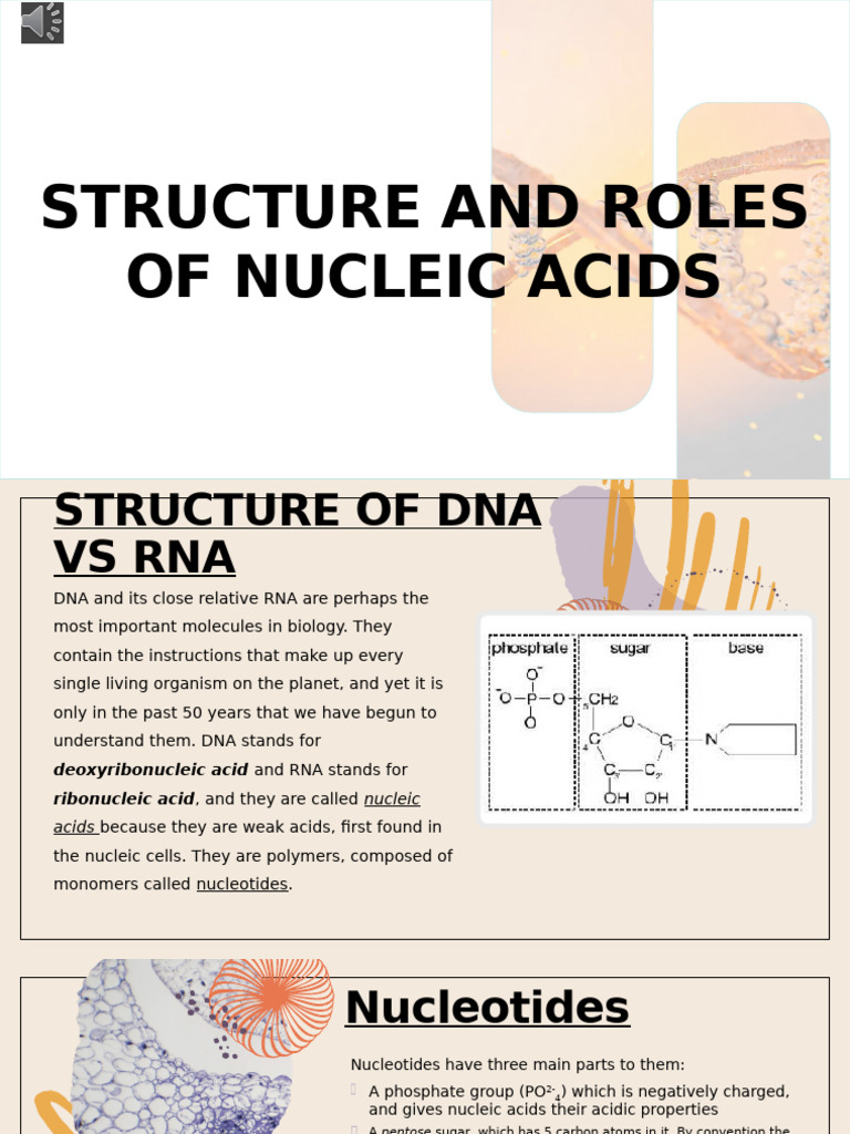 Biology Nucleic Acids | PDF | Rna | Dna