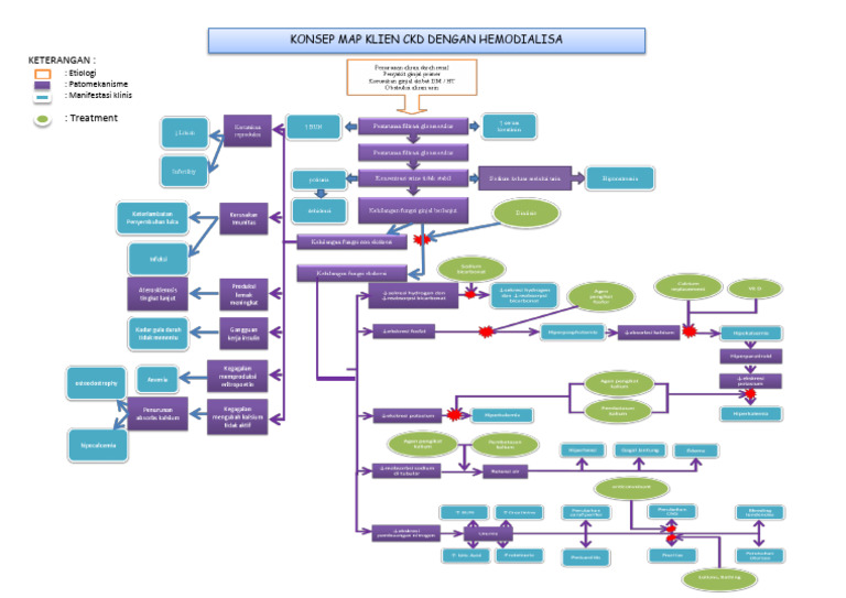 Concept-Map-Klien-Dg-Ckd-Dan-Hd | PDF