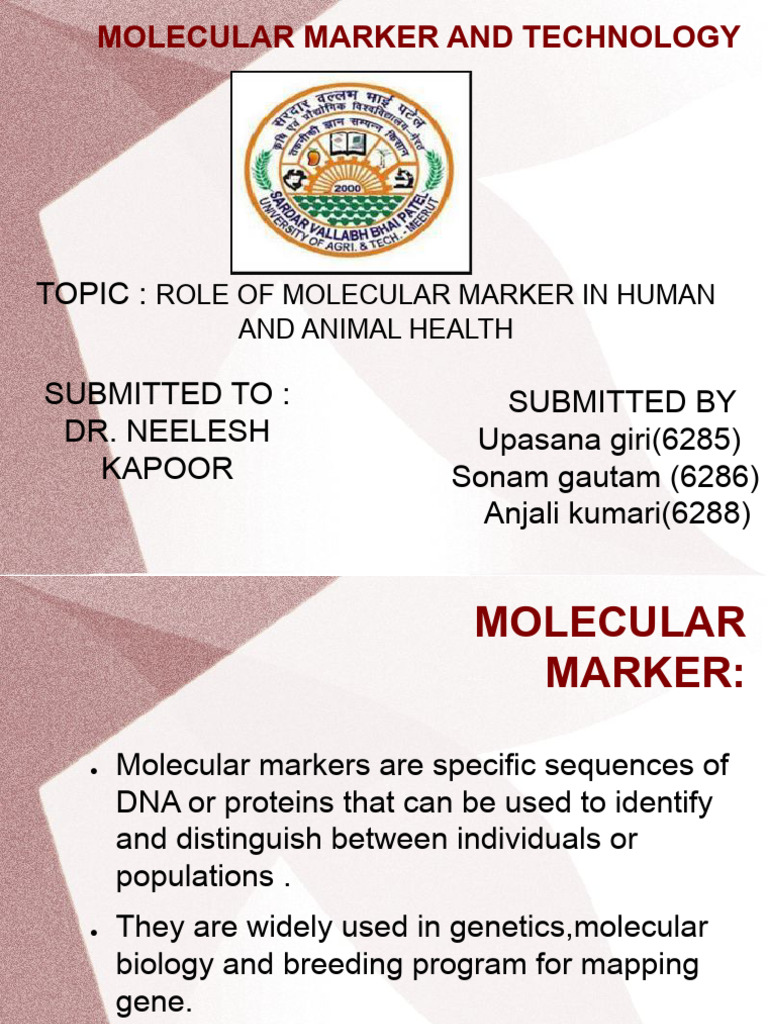 Molecular Markers in Health and Breeding | PDF | Genetic Marker ...