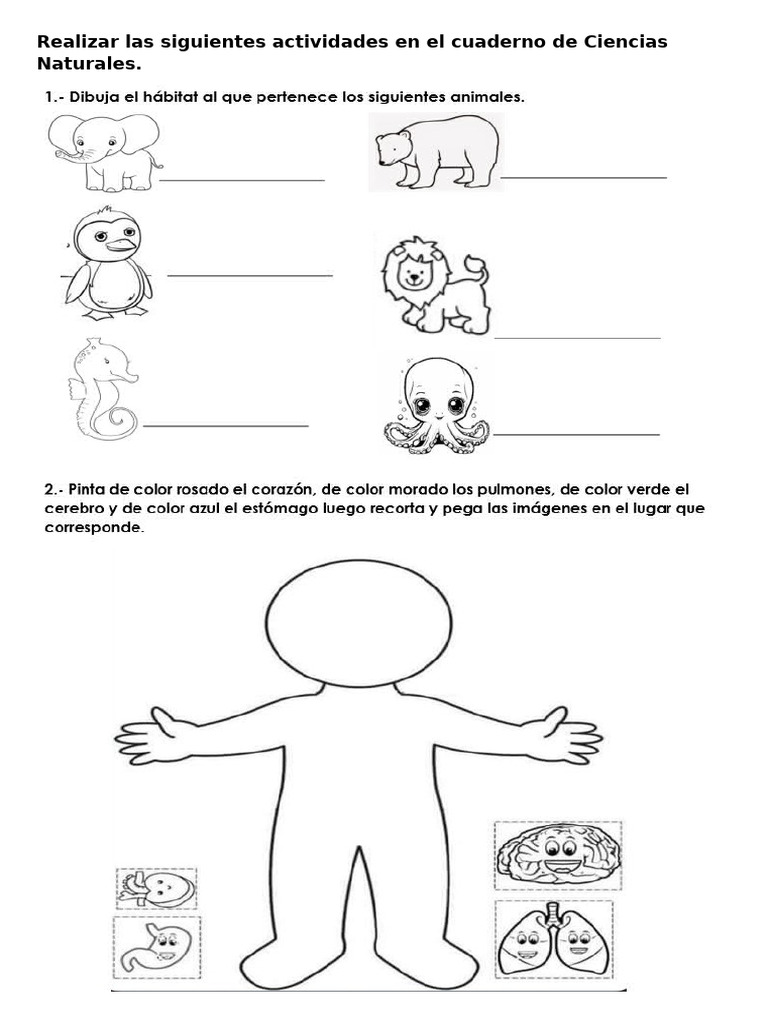 Actividades para Ciencias Naturales | PDF