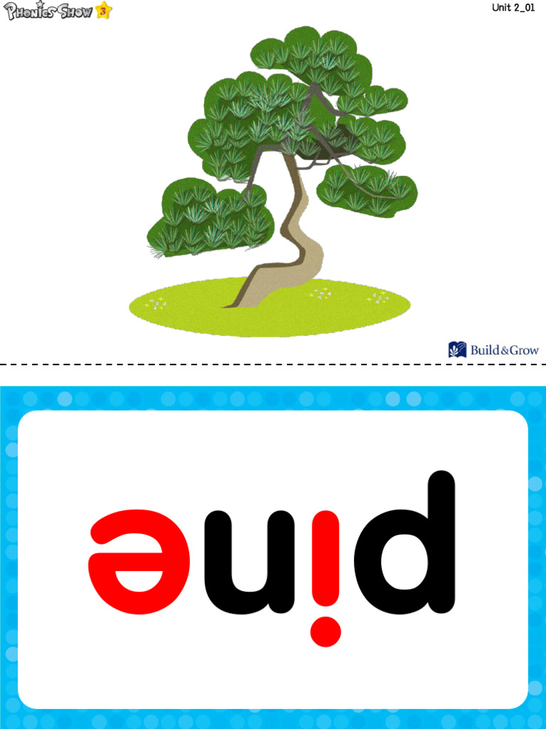 Flashcards - Book 3 - Unit 2 | PDF