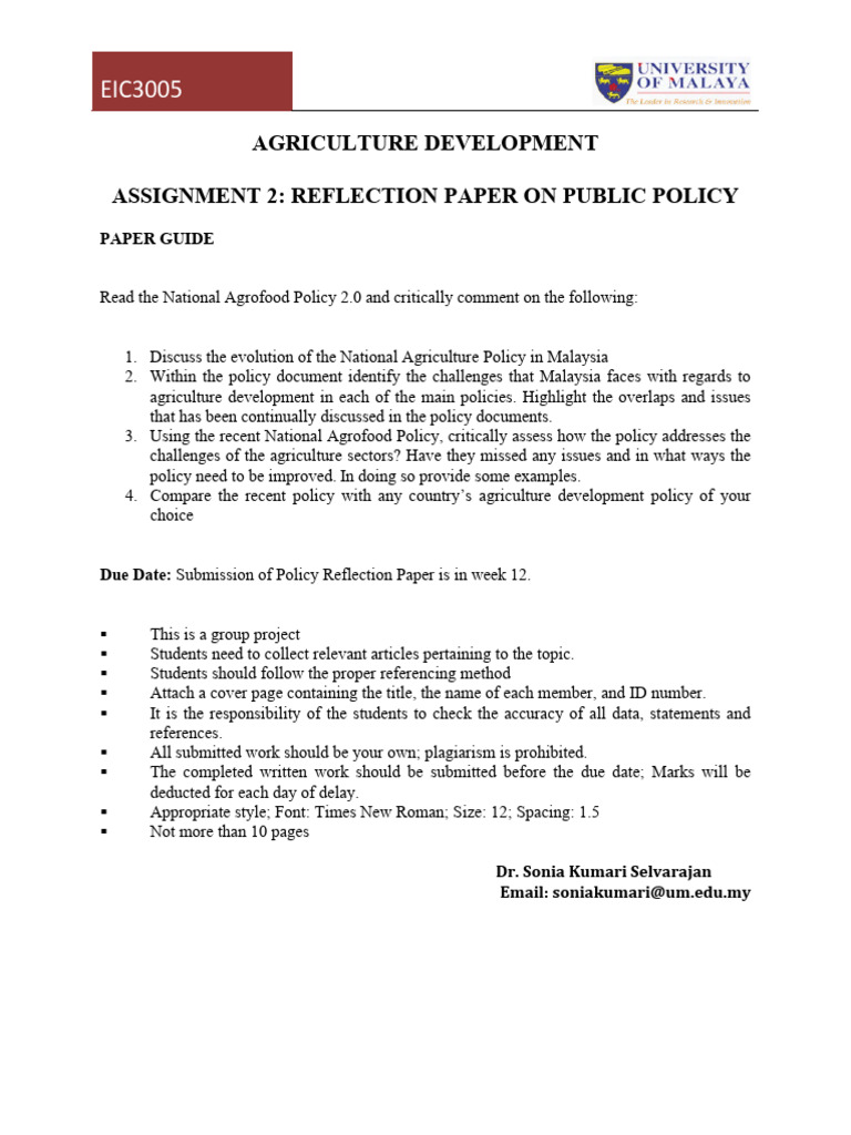 Reflection Paper Guide Assignment 2 | PDF