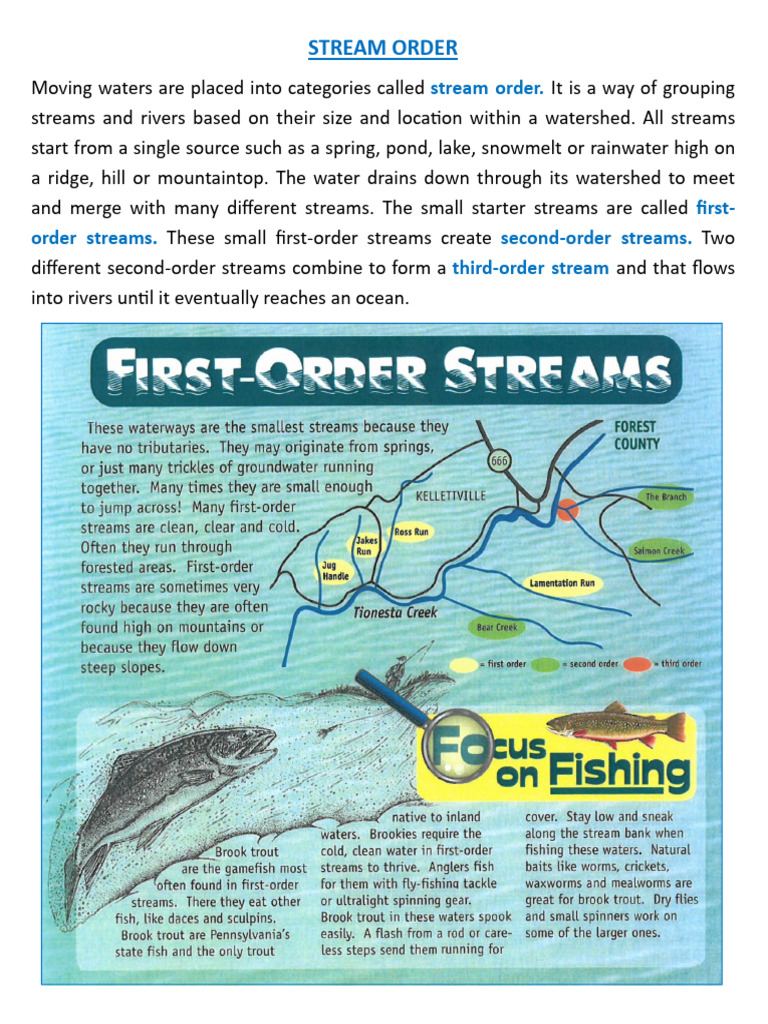 Understanding Stream Order Classification | PDF