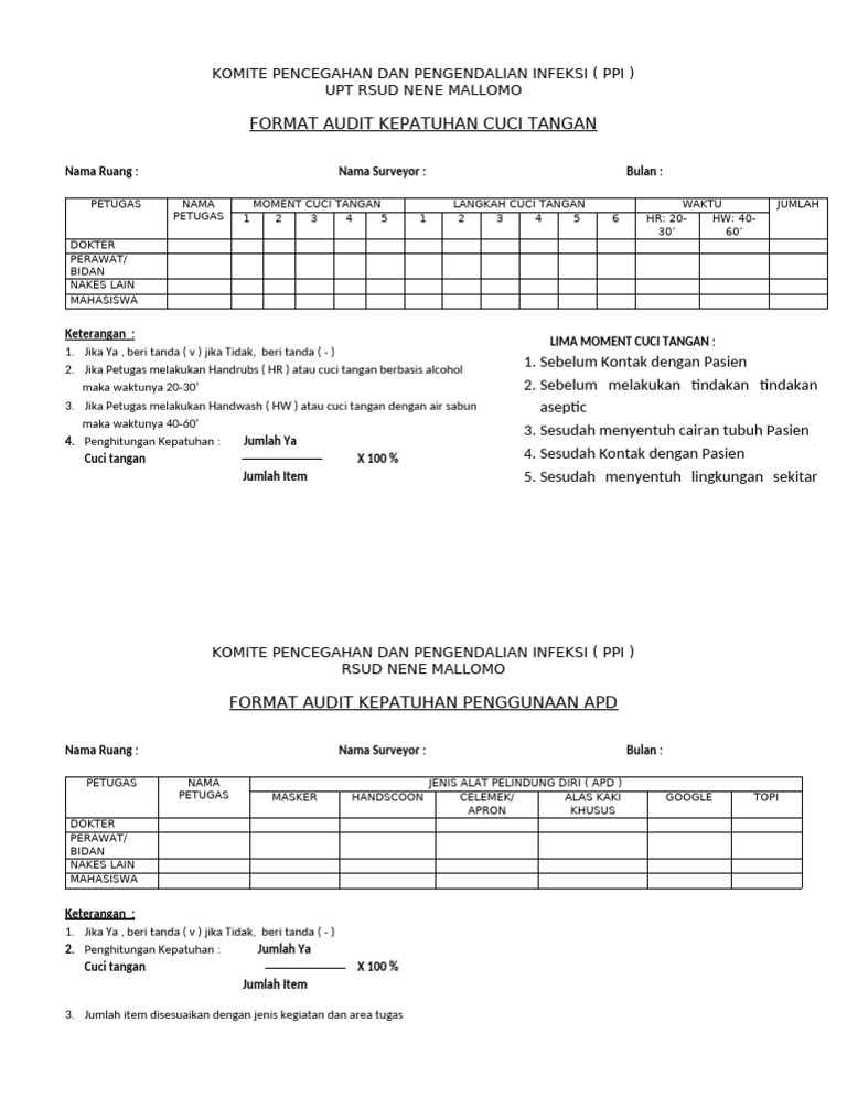 Form Audit Hand Hygiene | PDF