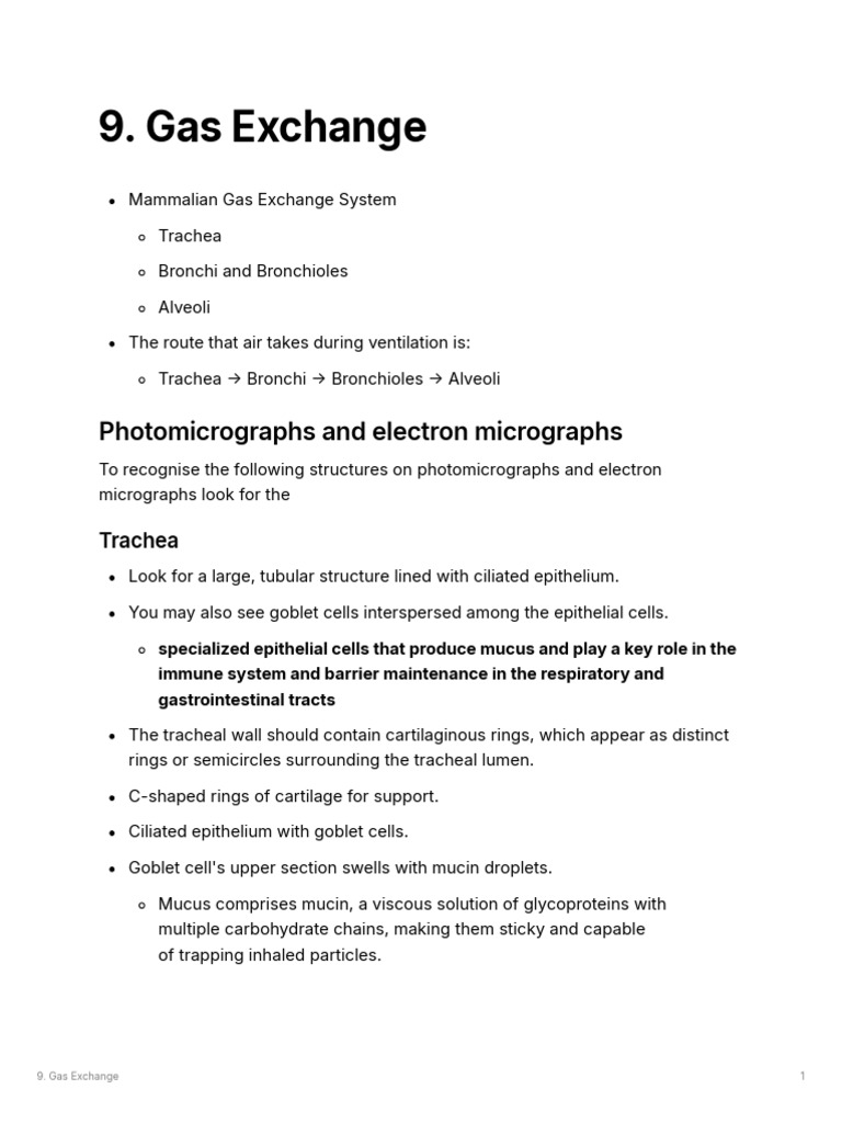 As Level Biology 9. - Gas - Exchange | PDF | Respiratory Tract | Lung
