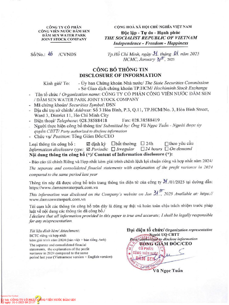 DSN Baocaotaichinh 2024 Kiemtoan Hopnhat | PDF