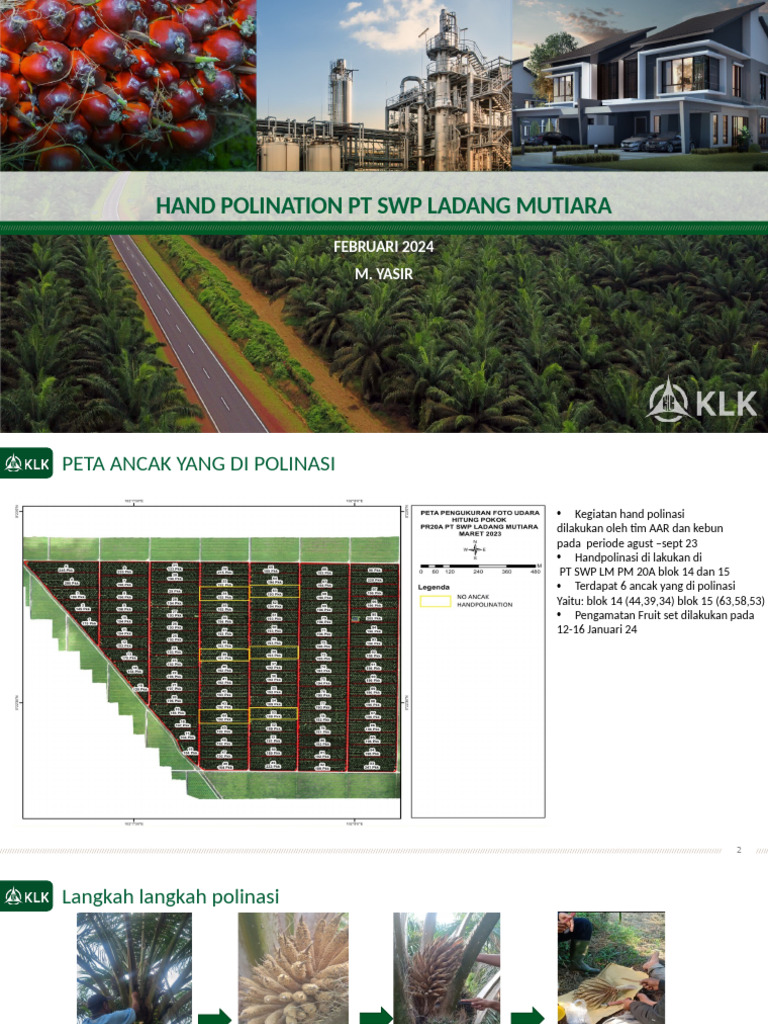 Presentasi Trial Ppolinasi Buatan SWP-1 | PDF
