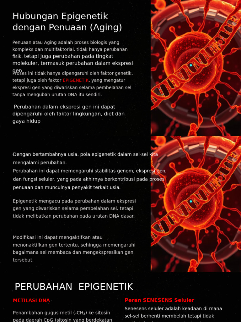 Hubungan Epigenetik Dengan Penuaan (Aging) | PDF