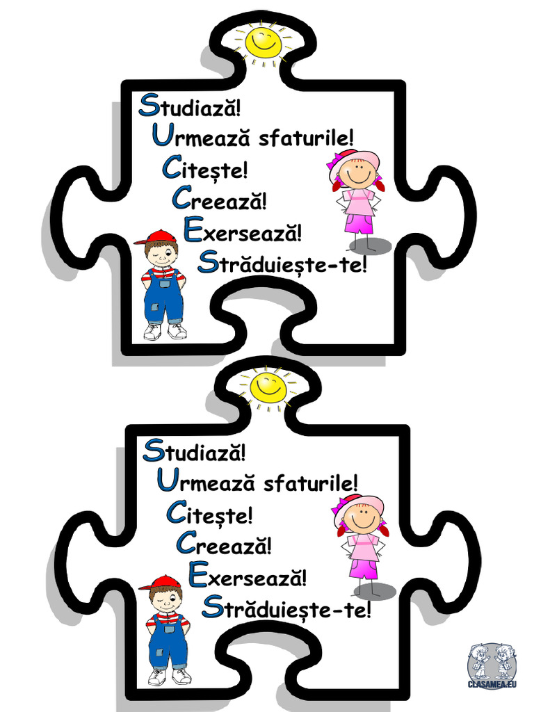 Mesaj SUCCES | PDF